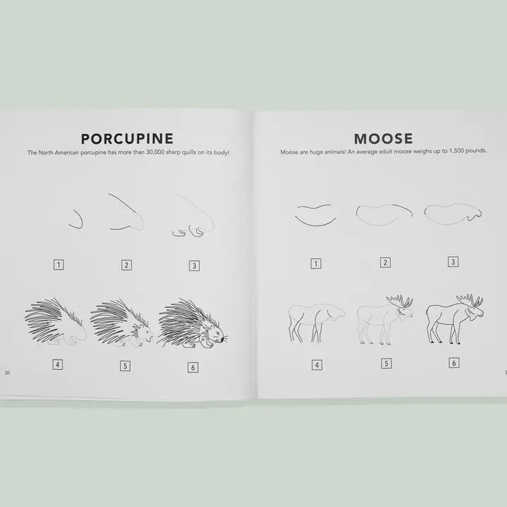 A How to Draw for Kids: Woodland Creatures – Dumb Ox Publications